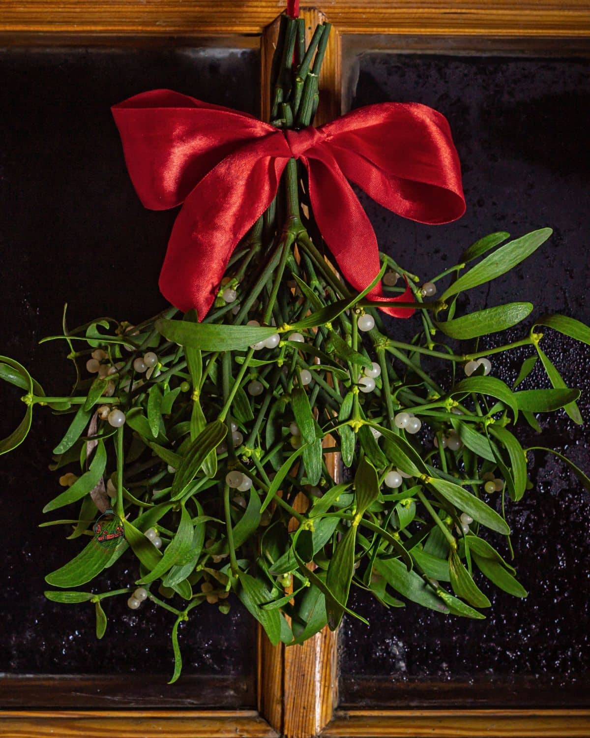 The Story Of Christmas Mistletoe - Magically Christmas